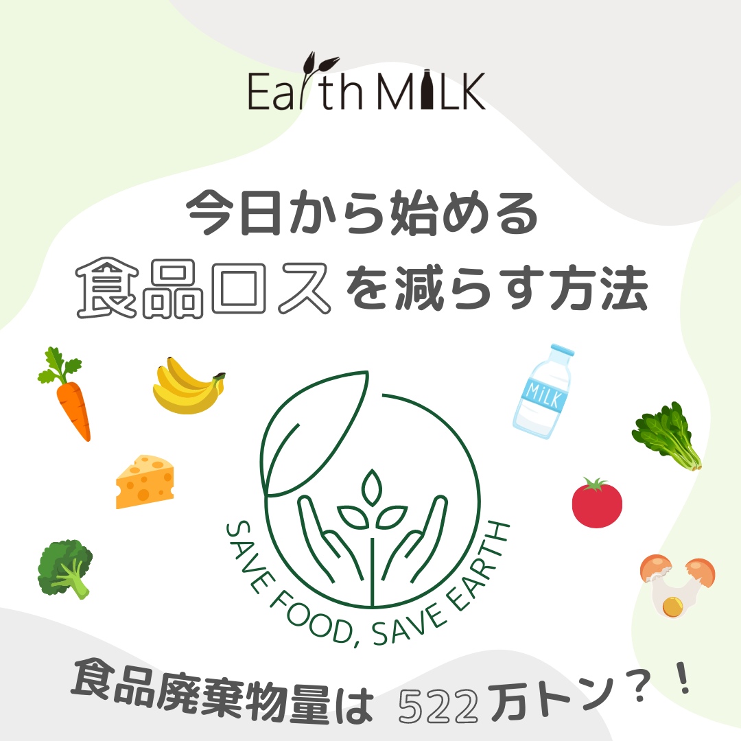 今日から始める 食品ロスを減らす方法